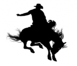 Tickets - Mt Garnet Rodeo